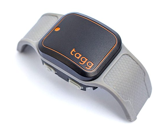 Best GPS Dog Collars Reviewed and Rated in 2018 | TheGearHunt