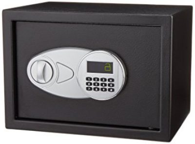 10 Best Personal Safes Reviewed & Rated in 2024 | TheGearHunt
