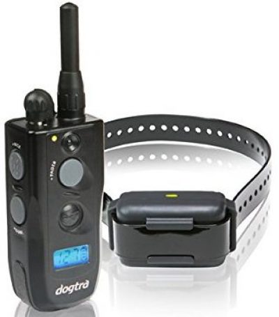 10 Best Electronic Dog Collars Reviewed in 2024 | TheGearHunt