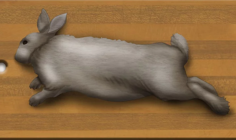 How to Clean & Field Dress a Rabbit for Consumption: Complete Guide ...