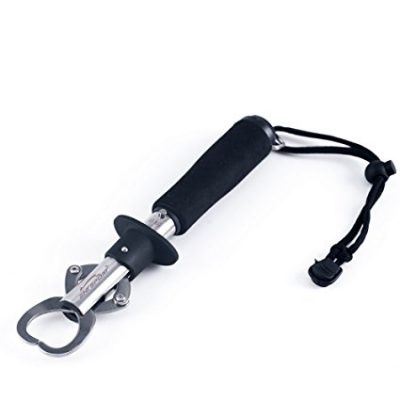 10 Best Fishing Scales Reviewed & Rated in 2024 | TheGearHunt