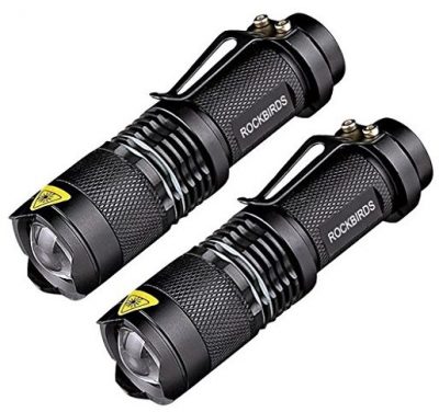 10 Best AA Flashlights Reviewed & Rated in 2024 | TheGearHunt