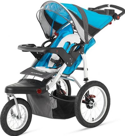 10 Best Running Strollers Reviewed in 2024 | TheGearHunt