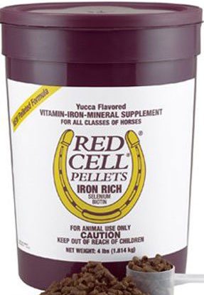 10 Best Horse Supplements Reviewed in 2024 | TheGearHunt