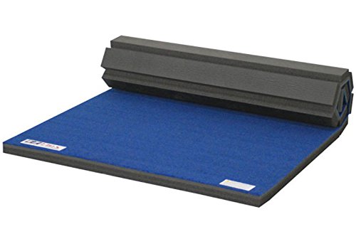 10 Best Tumbling Mats Reviewed in 2024 | TheGearHunt