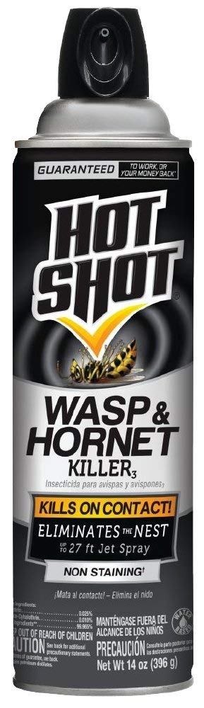 10 Best Wasp Sprays Reviewed in 2024 | TheGearHunt