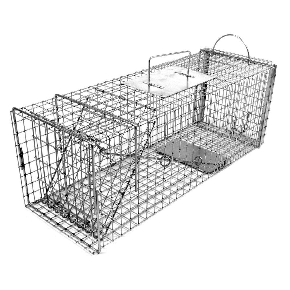 Best Raccoon Traps Reviewed & Rated for Quality - TheGearHunt