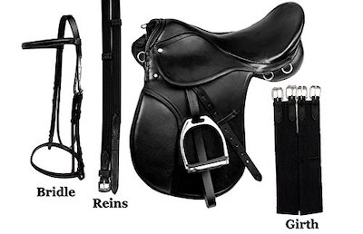 10 Best English Saddles Reviewed in 2024 | TheGearHunt