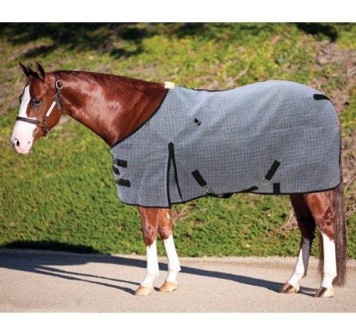10 Best Fly Sheets for Horses Reviewed Reviewed in 2024 | TheGearHunt