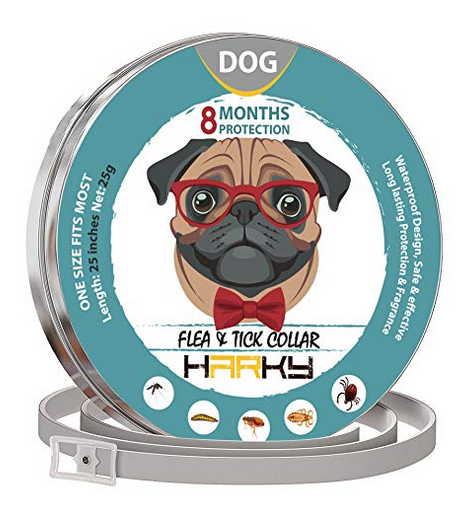 10 Best Dog Flea Collars Reviewed in 2024 | TheGearHunt
