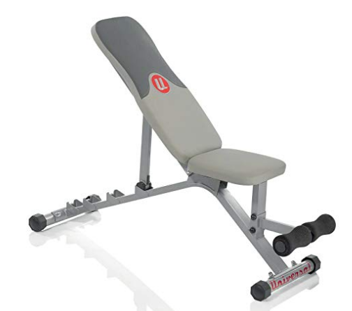 10 Best Workout Benches Reviewed and Rated in 2024 | TheGearHunt