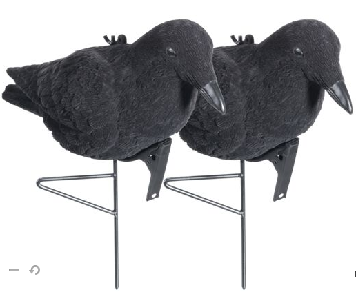 10 Best Crow Decoys Reviewed in 2024 | TheGearHunt