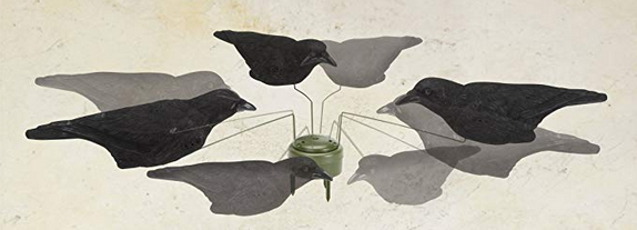 10 Best Crow Decoys Reviewed in 2024 | TheGearHunt