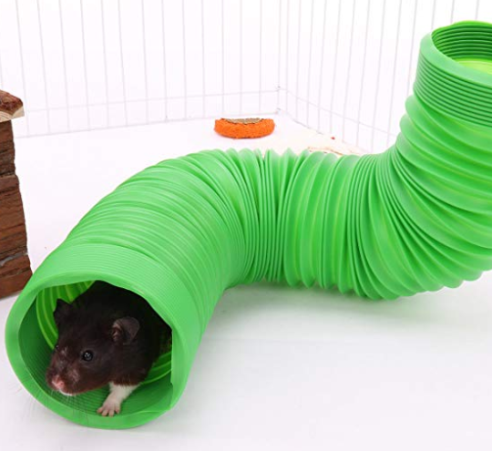 10 Best Guinea Pig Tunnels Reviewed in 2024 | TheGearHunt