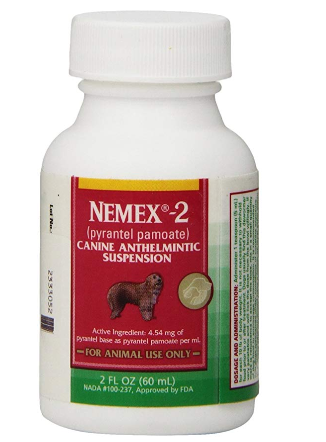 10 Best Cat Dewormers Reviewed in 2024 | TheGearHunt