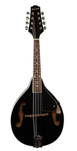 10 Best Mandolins Reviewed in 2024 | TheGearHunt