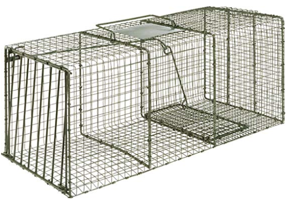 10 Best Dog Proof Traps Reviewed in 2024 | TheGearHunt