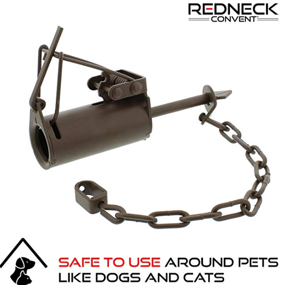 10 Best Dog Proof Traps Reviewed in 2024 | TheGearHunt