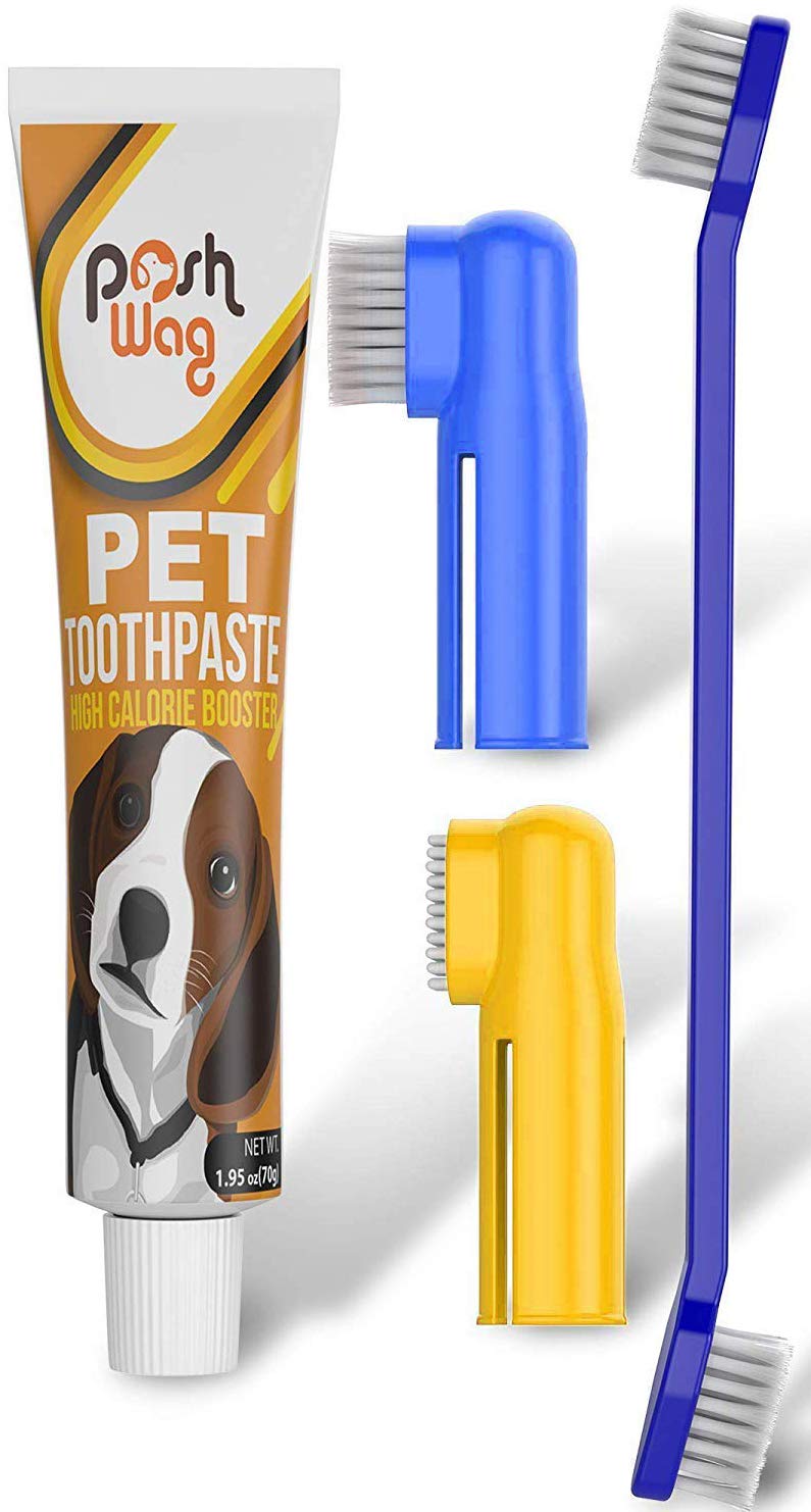 10 Best Dog Toothpastes Reviewed in 2024 | TheGearHunt