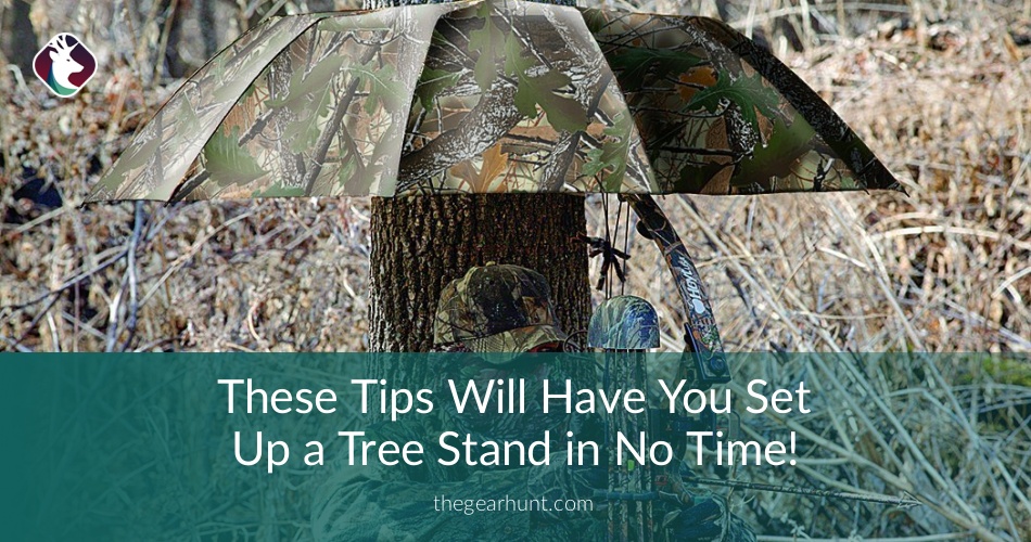 These Tips Will Have You Set Up a Tree Stand in No Time!