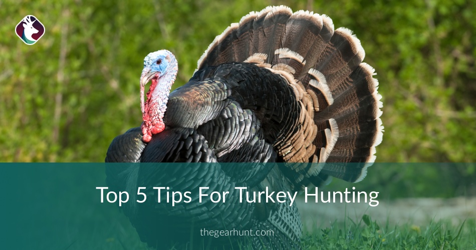Top 5 Tips For Turkey Hunting: All You Need to Know | TheGearHunt