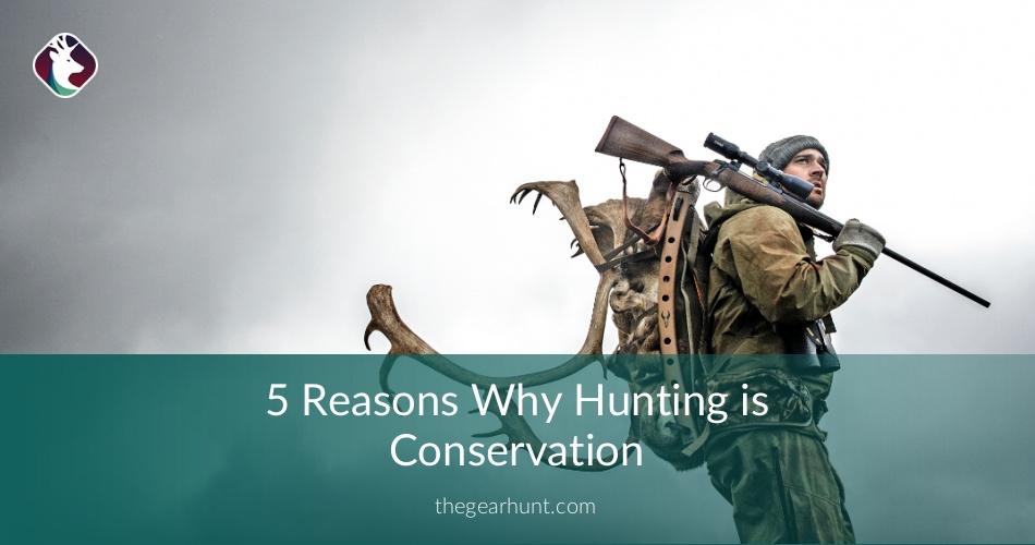 Five Reasons Why Hunting is Conservation According to Us | TheGearHunt