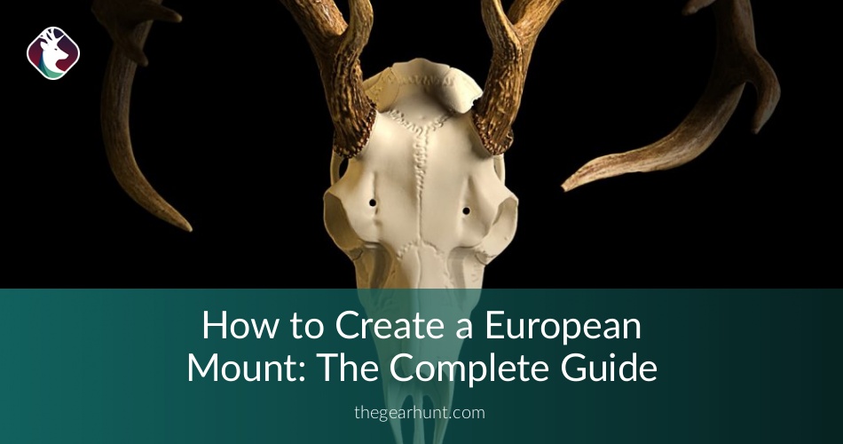 How to Create a European Mount: The Complete Guide - TheGearHunt