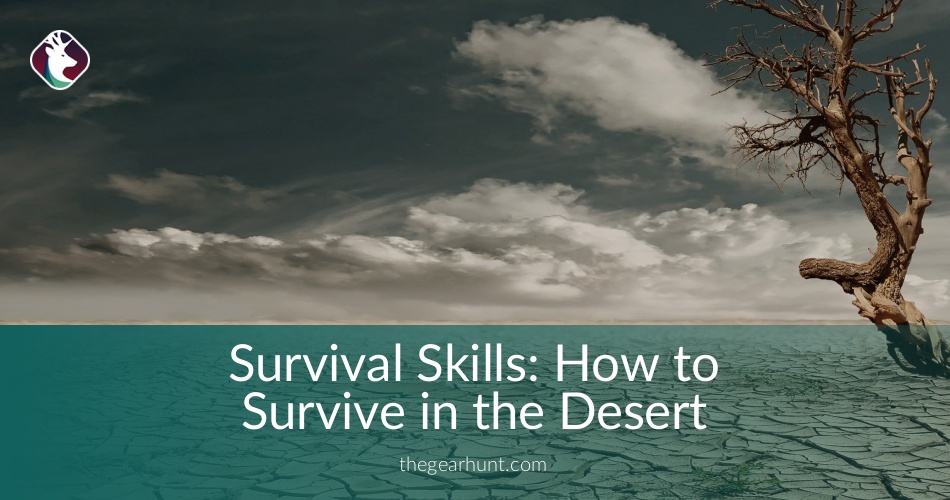 Survival Skills: How to Survive in the Desert - TheGearHunt