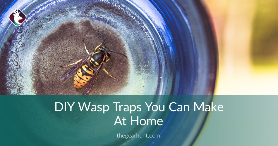 DIY Wasp Traps You Can Make At Home - TheGearHunt