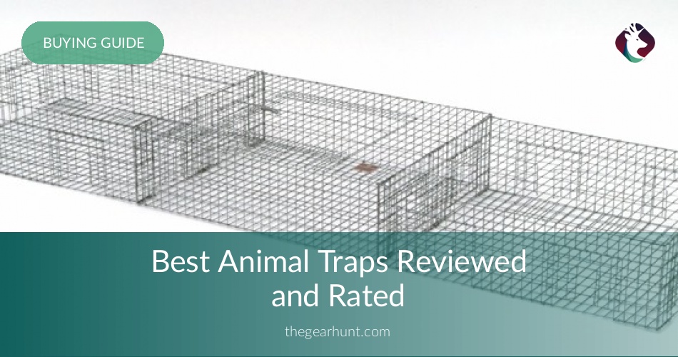 Best Animal Traps Reviewed and Tested in 2017 | TheGearHunt