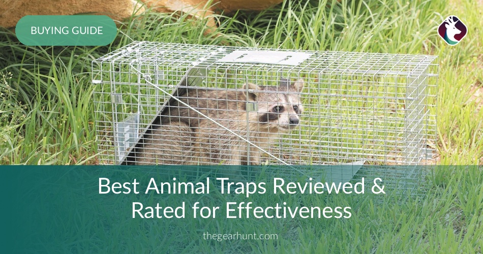 10 Best Animal Traps Reviewed & Tested in 2018 | TheGearHunt
