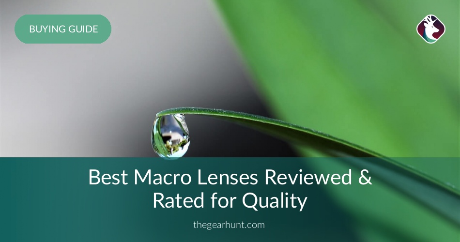 Best Macro Lenses Reviewed & Rated for Quality - TheGearHunt