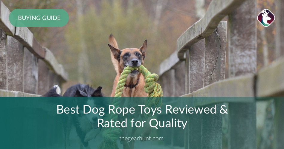 10 Best Dog Rope Toys Reviewed in 2020 | TheGearHunt