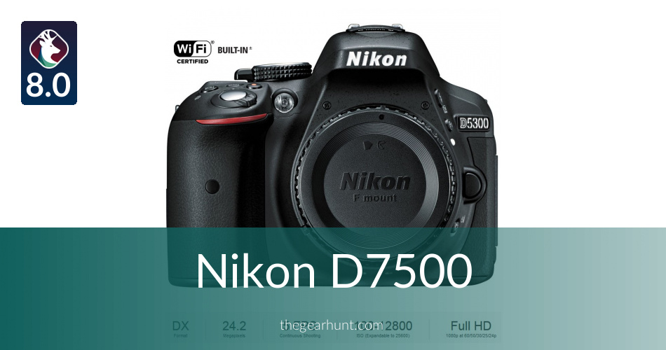 Nikon D7500: To Buy or Not in 2019 | TheGearHunt