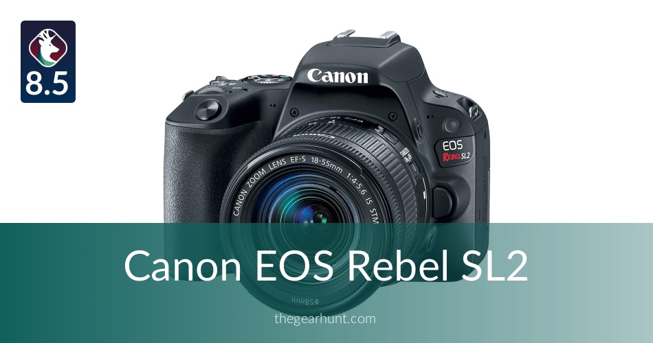 Canon EOS Rebel SL2: To Buy or Not in 2020 | TheGearHunt